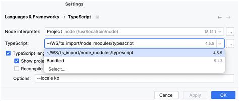 Typescript Webstorm 文档