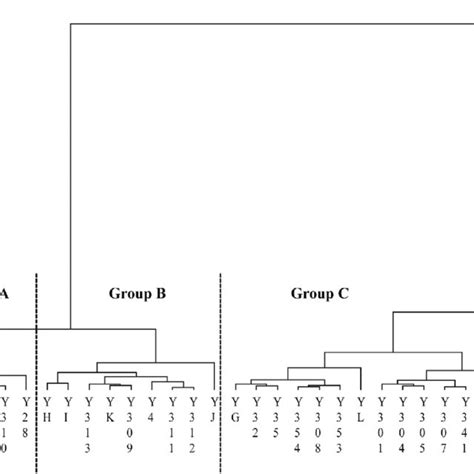 Dendrogram Illustrating The Groundwater Sample Groups By Cluster