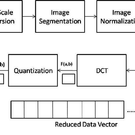 Figure1 Pre Processing And Dimensionality Reduction Download