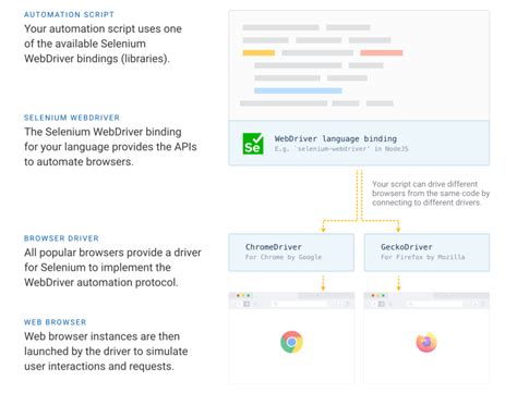 Complete Guide To Selenium Test Automation And Reporting Testmo