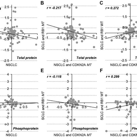 Comparison Of Protein Expression And Phosphorylation In Sclc And Nsclc Download Scientific