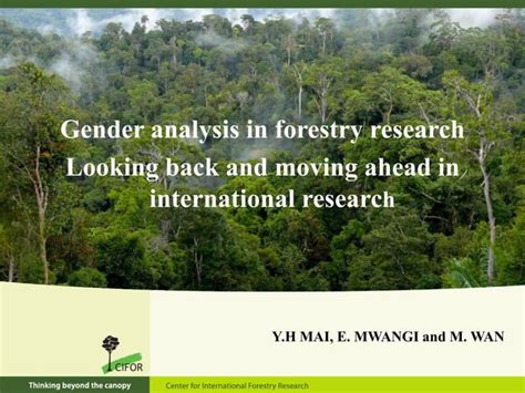 Gender Analysis In Forestry Research Looking Back And Moving Ahead PPTX