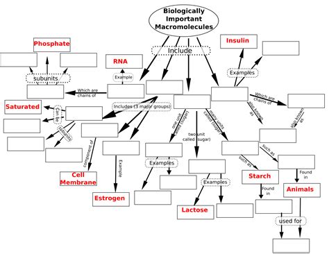 Biological Macromolecules Concept Biology Oer