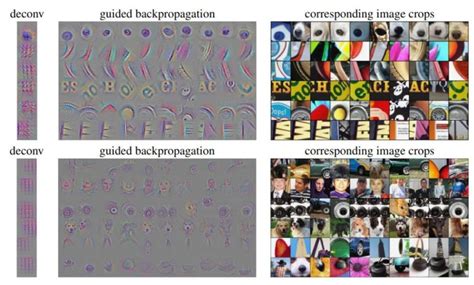 Saliency Maps In Convolutional Neural Networks