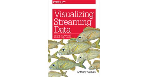Visualizing Streaming Data Book