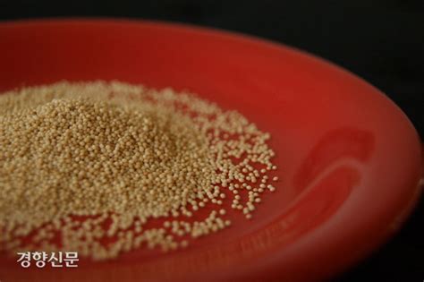 빨간색 그릇에 담긴 음식 이들은 맛 없다고 느낀다