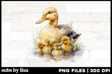 Mama Duck And Ducklings Png Clipart Illustration Par Lisa Smith