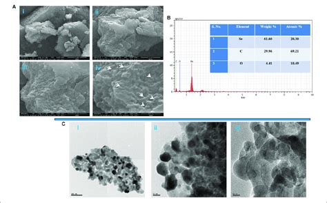 A Scanning Electron Microscopic Image Of Phytofabricated Selenium A Scanning Electron Microscopic Image Of Phytofabricated Selenium