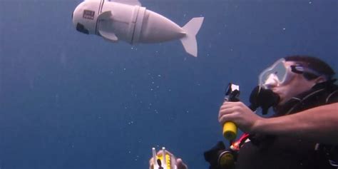 Green Cool Earth New Robotic Fish Can Swim Around In Crevices And Clean Up The Ocean