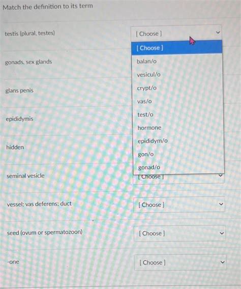 Solved Match The Definition To Its Term Testis Plural