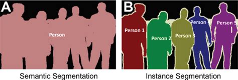 Semantic Vs Instance Segmentation Applications For Biology