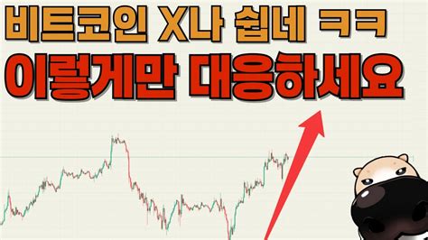 비트코인 고점갱신 합니다 유튜버들이 여기서 하락을 봤다구요 전 이렇게 대응합니다 Youtube