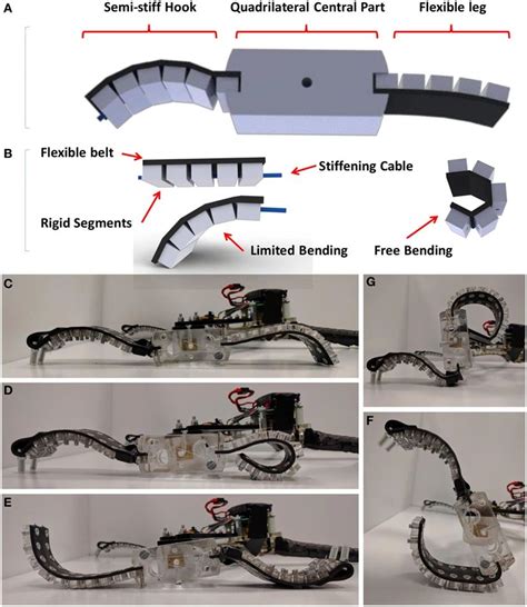 Softrobotics Innovation Ai Engineering Bhargav Ravinutala
