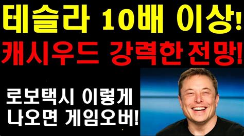 테슬라 10배이상 상승한다 캐시우드 자신감 넘치는 전망 결국 모두가 꿈꾸는 세상이 오고만다 로보택시 이런기능까지 탑재한다 테슬라 모든 준비는 끝났다 테슬라 지배하는