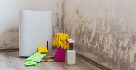 Experts Reveal What You Need To Know Before Buying A Dehumidifier Woman Home