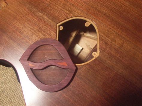 Pin On Sympathetic String Guitar Sympast