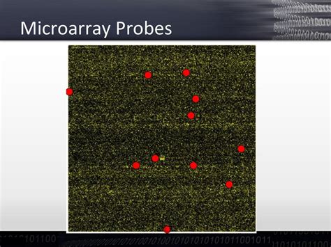 Transcriptomics Towards Rnaseq Ppt Download
