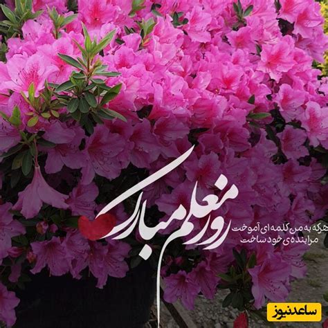 مجموعه‌ای از متفاوت‌ترین تبریکهای ویژه روز معلم از طنز تا رسمی، از متن