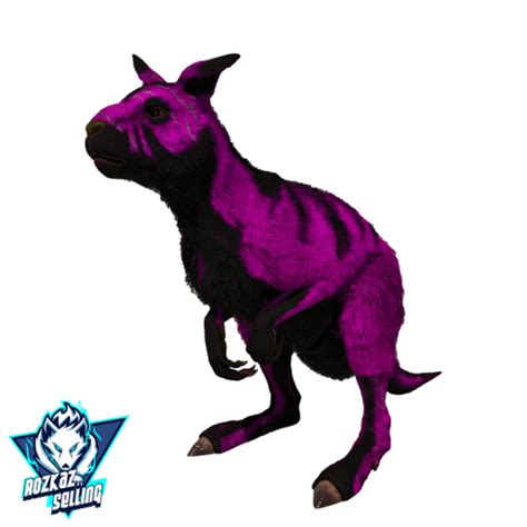 Male Procoptodon Adult 2750 Weight Pink Top Stats Rozkaz Selling Shop