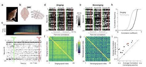 Neural Dynamics In The Rodent Motor Cortex Enables Flexible Control Of