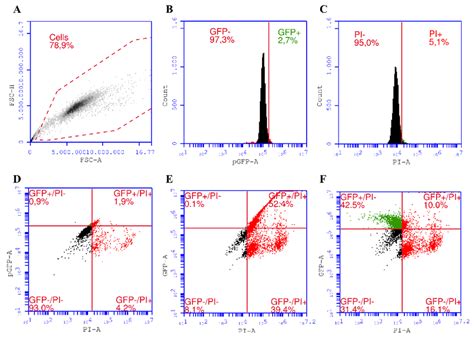 Schematic Representation Of Gating Of The Samples To Distinguish Four Download Scientific