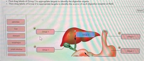 Match The Terms On The Left To The Picture Please