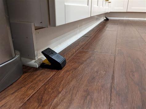 How To Set A Tomcat Mouse Trap Mouse Trap Guide Today S Homeowner