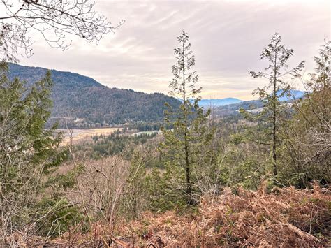 Sturgeon Trail Near Lake Errock Vancouver Trails