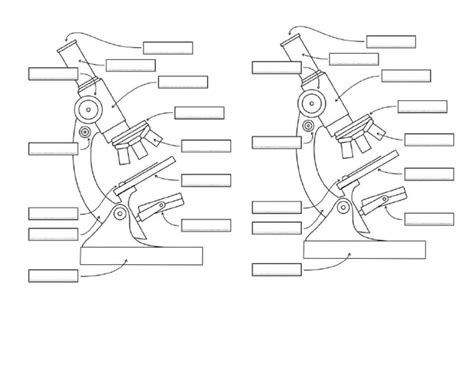 Microscop Partes Pdf