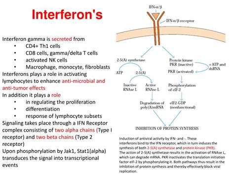 Ppt Immune Response To Infectious Diseases Powerpoint Presentation Id 1975624