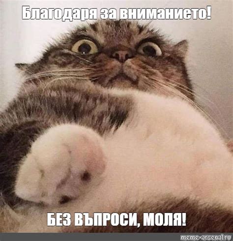 Meme Благодаря за вниманието БЕЗ ВЪПРОСИ МОЛЯ All Templates Meme