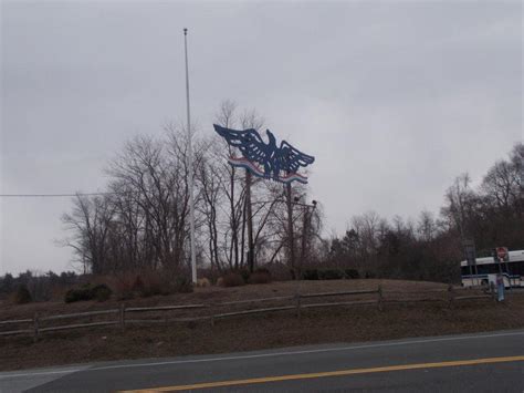 289 Armonk Eagle Pic 2 The Examiner News