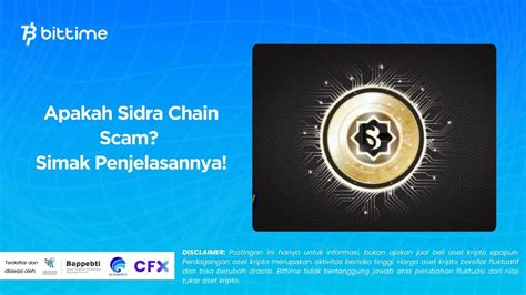 Apakah Sidra Chain Scam? Simak Penjelasannya!