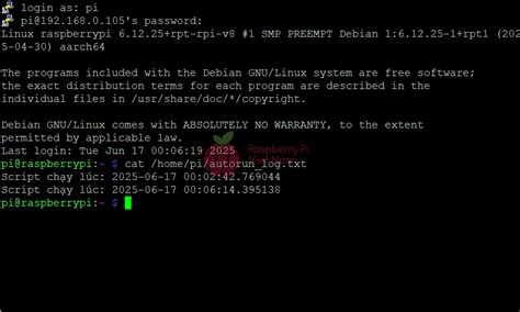 Tự động Chạy File Python Mỗi Khi Khởi động Raspberry Pi