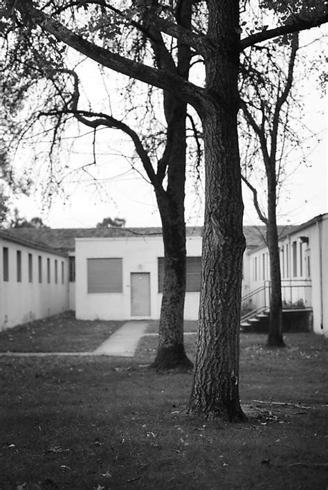 Sex Crimes Alleged At Care Facilities