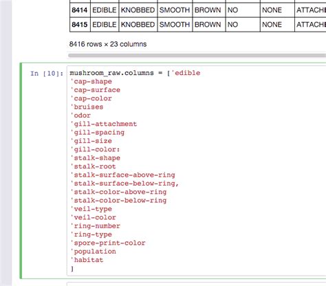 jupyter ipython notebooks features