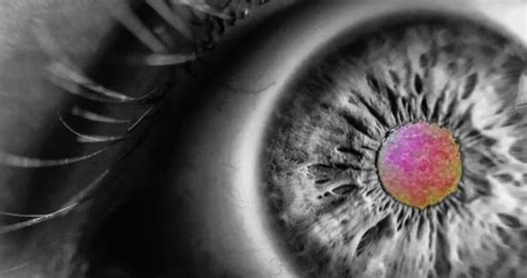 The Future Of Glaucoma Detection And Monitoring Part Glaucoma Australia