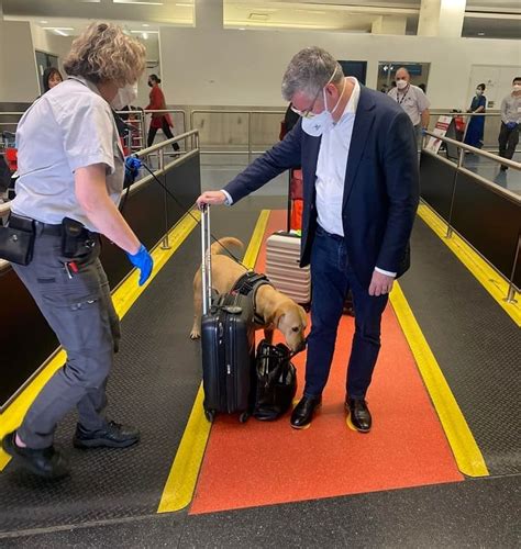 Fmd Biosecurity Response Zone Extended To June 2023 Beef Central