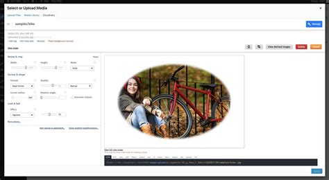 Cloudinary For Wordpress Plugin For Images And Video