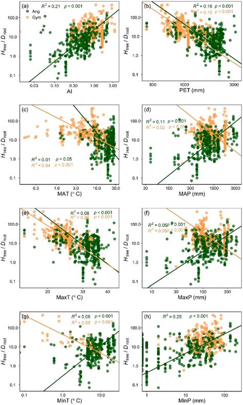 The Relationships Of The Ratio Between Tree Height And Root Depth With Download Scientific