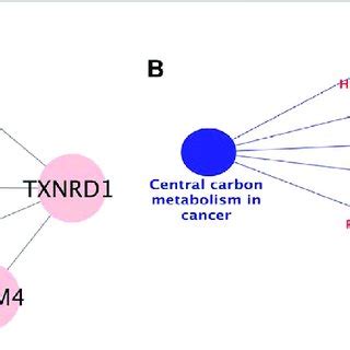 A Module In MCODE Analysis The Clustering Score Was 6 0 B KEGG Download Scientific