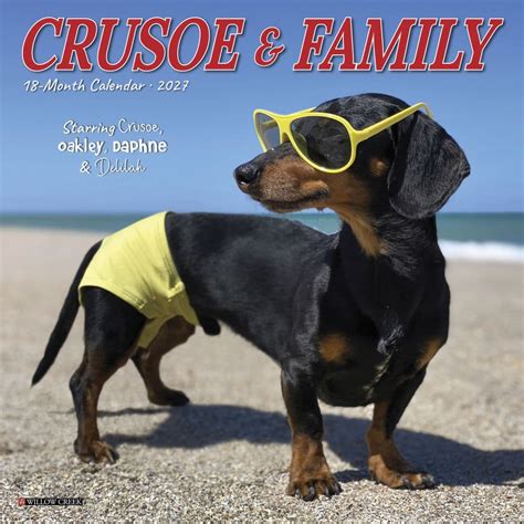 Crusoe The Celebrity Dachshund 2027 Mini Wall Calendar