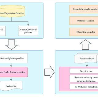 Performance Of The Best DT Model And DT Model With Informative Download Scientific Diagram