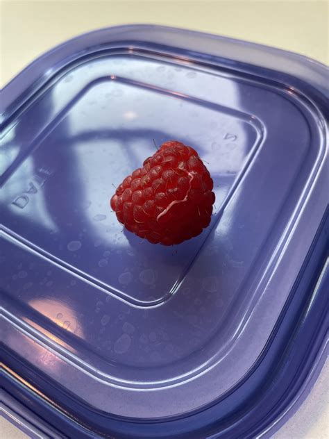 Raspberry Worm R Foodsafety