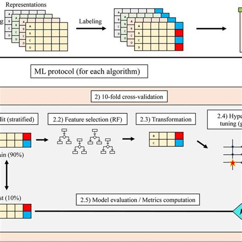 Schematic Representation Of Bioinformatics And Machine Learning