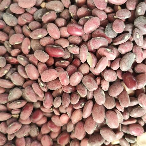 خرید و قیمت لوبیا قرمز یک کیلو از غرفه خواروبار حافظ