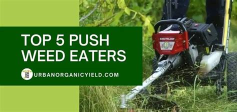 Walk Behind String Trimmer Things To Think About Before Buying