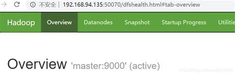 hadoop集群配置之后浏览器无法访问问题 hadoop完全分布式在浏览器中查看结果失败 csdn博客