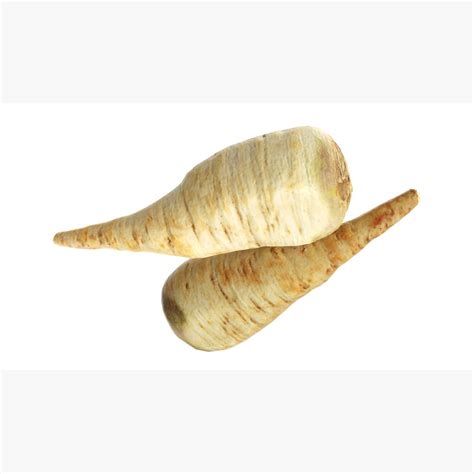 Parsnip 3d Model Download Vegetables On