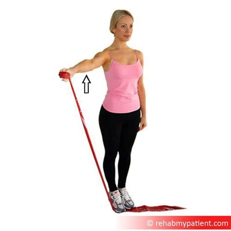 Supraspinatus Rehab My Patient
